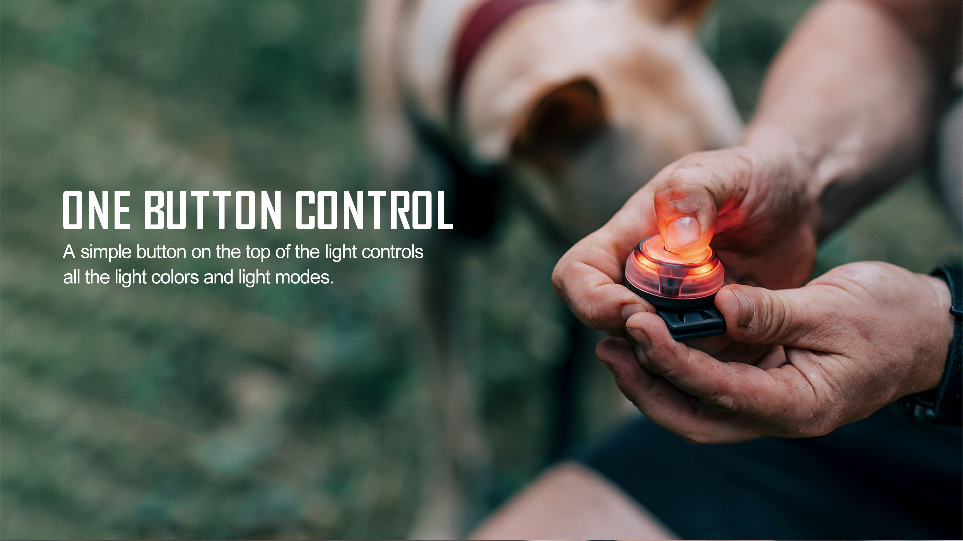 Gober Safety Light | Four Lighting Colours - Olight Australia