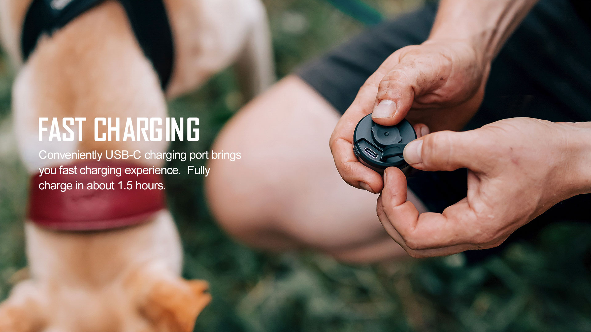 Gober Safety Light | Four Lighting Colours - Olight Australia