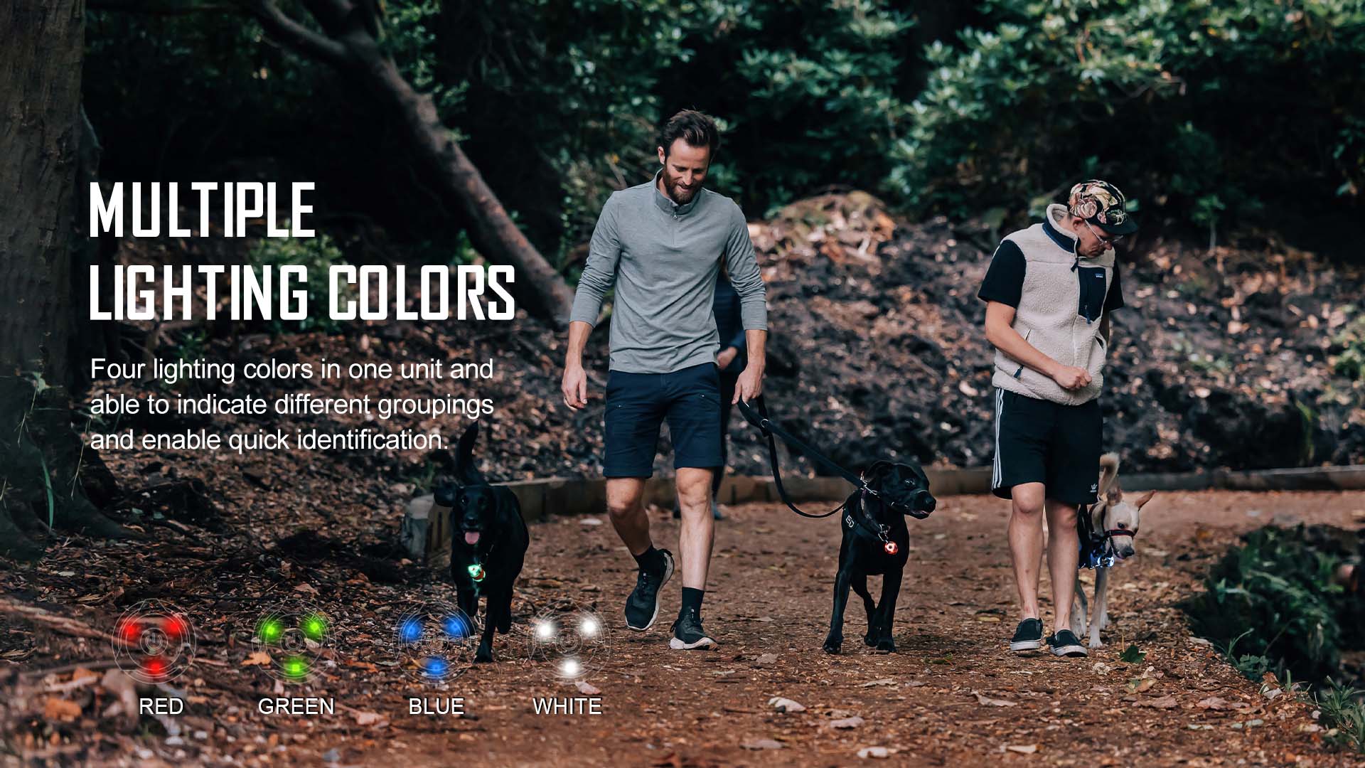 Olight Gober Kit Safety Light | Four Lighting Colours - Olight Australia